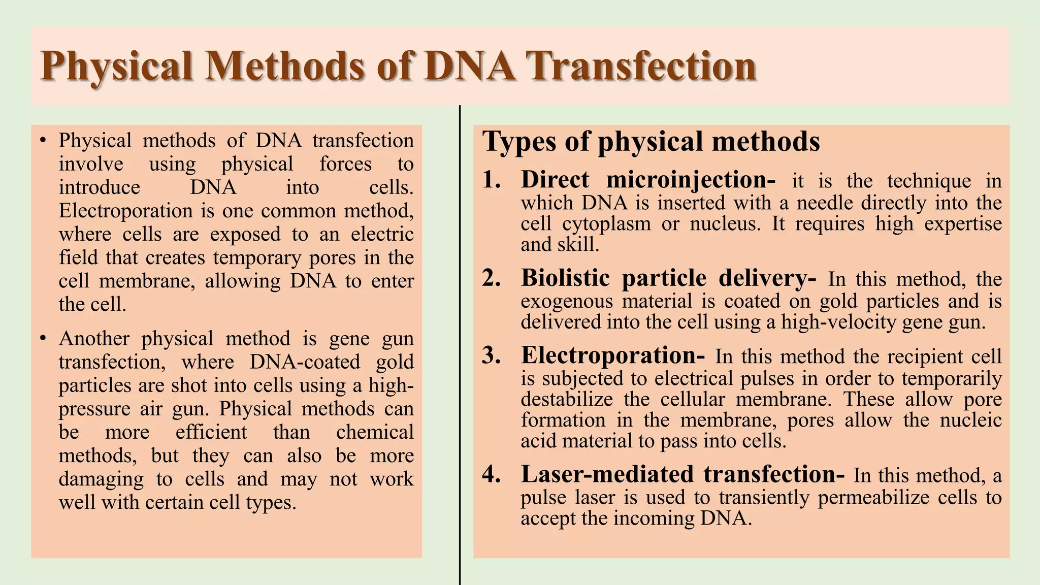 DNA Transfection in Animal tissue culture and its methods.pptx