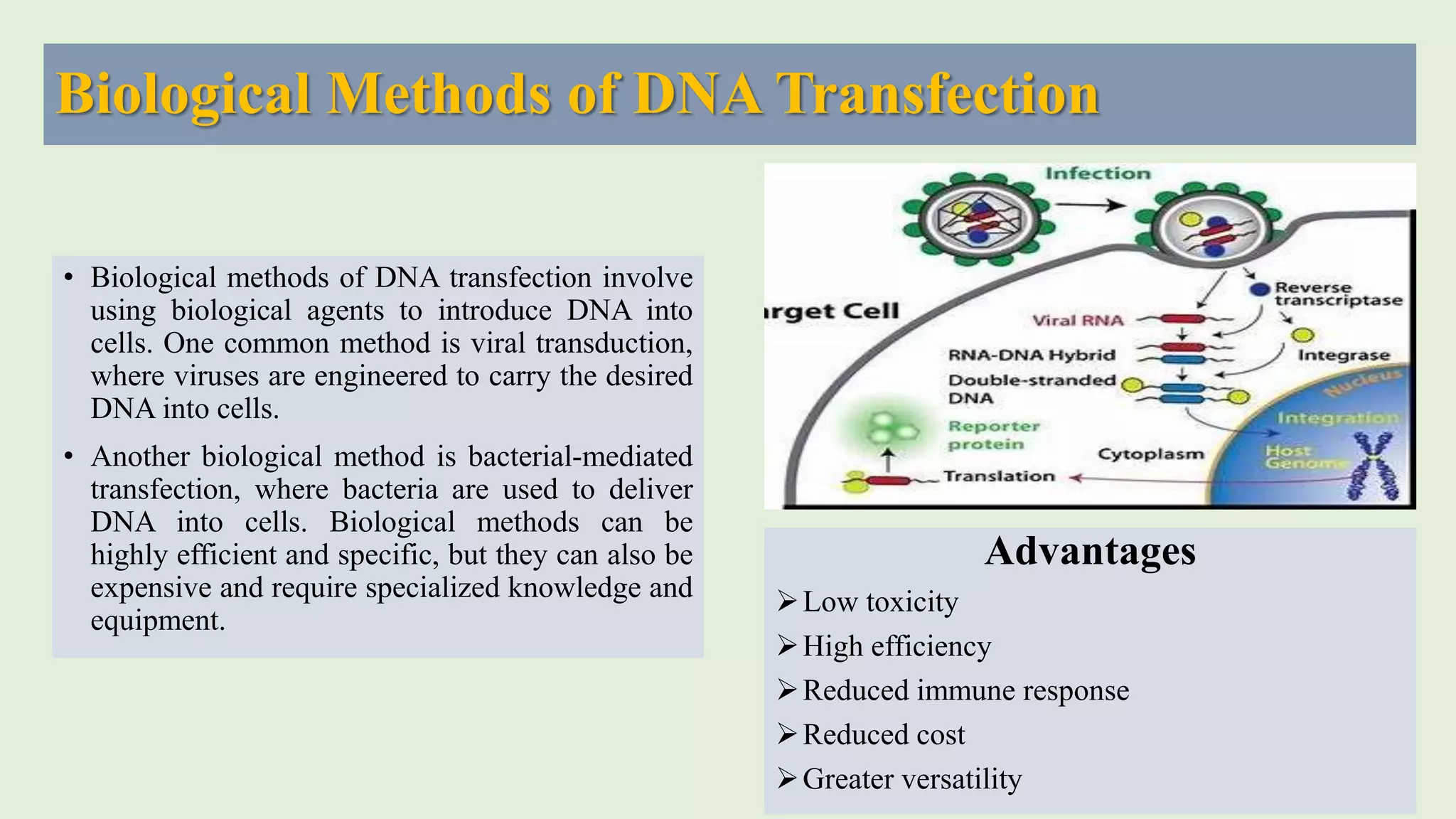 DNA Transfection in Animal tissue culture and its methods.pptx