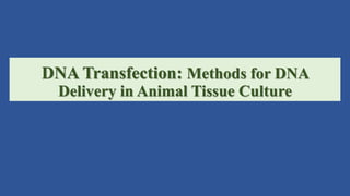 DNA Transfection in Animal tissue culture and its methods.pptx