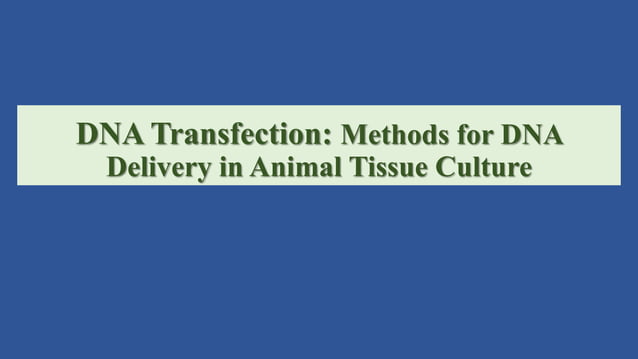 DNA Transfection in Animal tissue culture and its methods.pptx ...