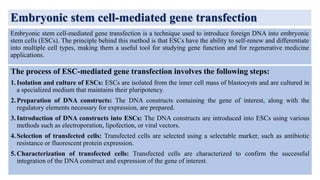 DNA Transfection in Animal tissue culture and its methods.pptx