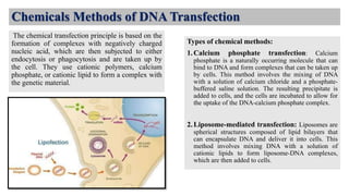 DNA Transfection in Animal tissue culture and its methods.pptx