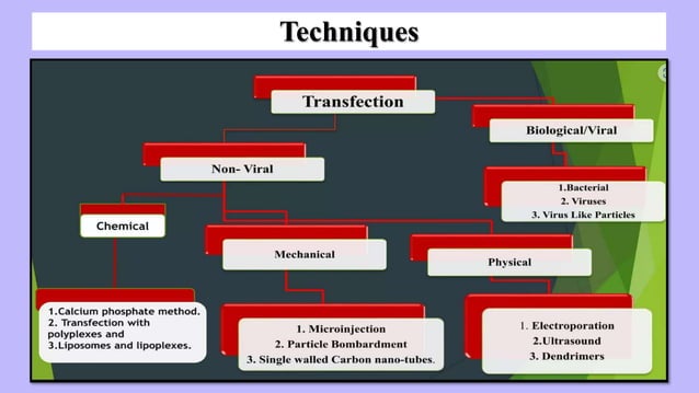 DNA Transfection in Animal tissue culture and its methods.pptx ...