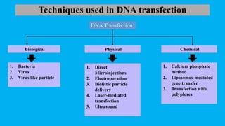 DNA Transfection in Animal tissue culture and its methods.pptx
