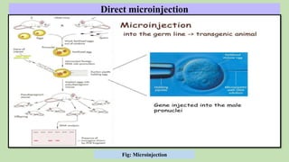 DNA Transfection in Animal tissue culture and its methods.pptx