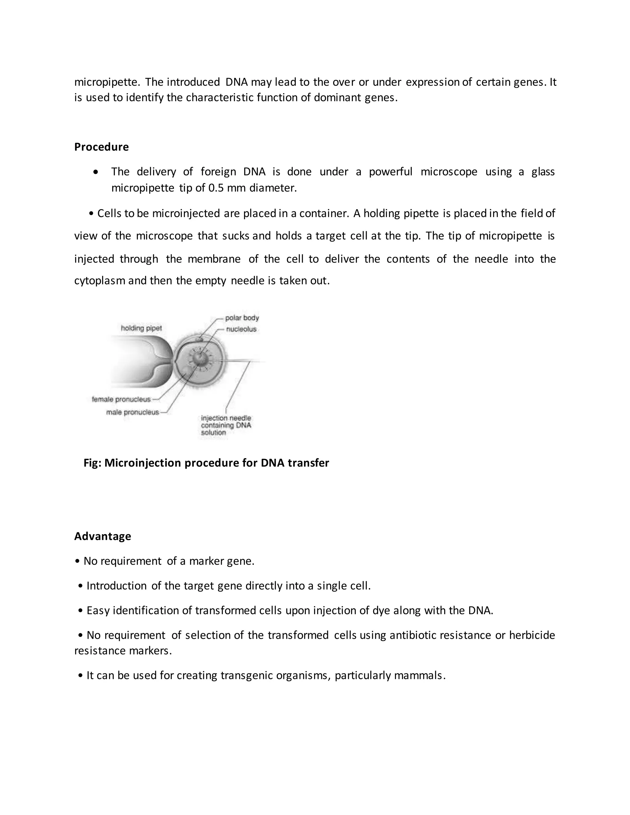 Dna transfer techniques | DOCX