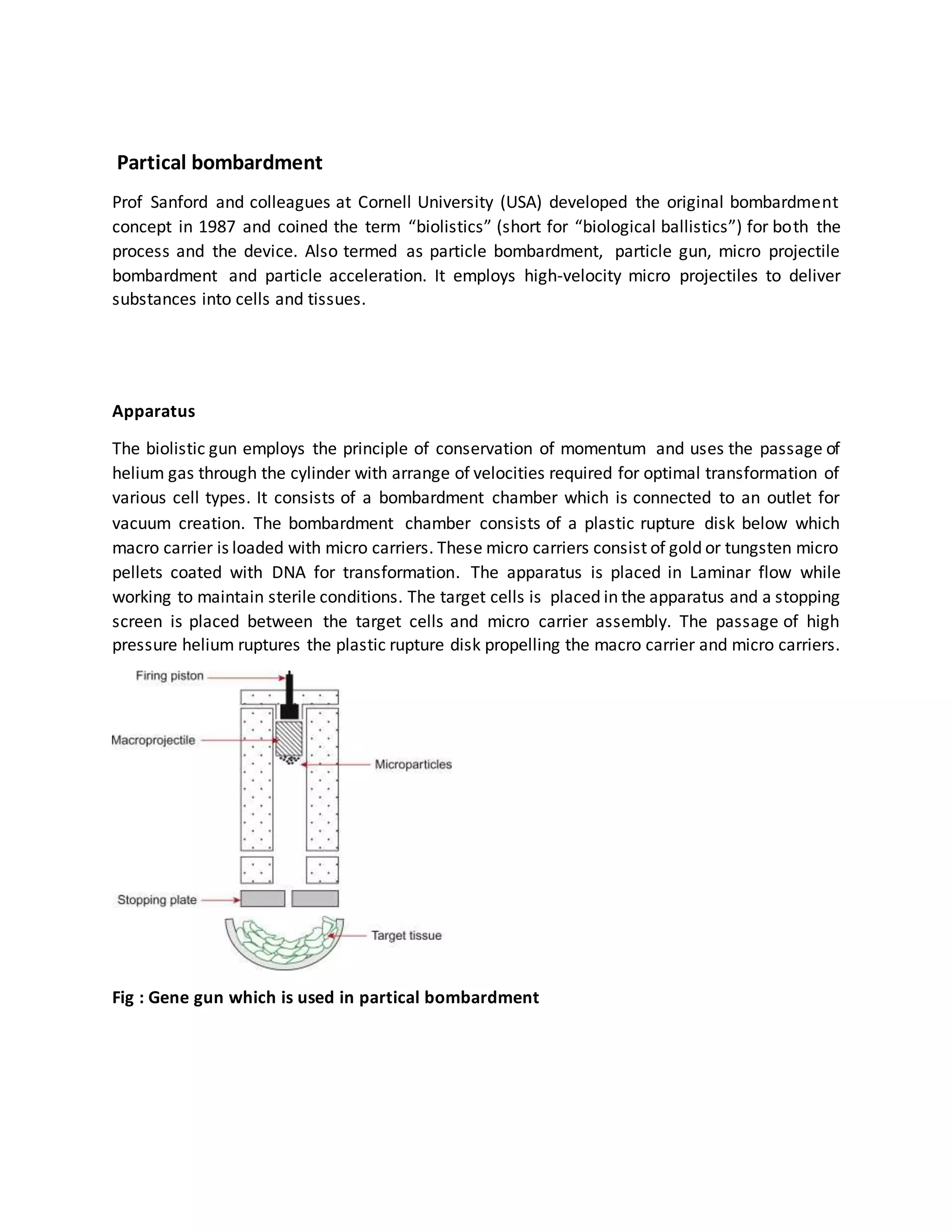 Dna transfer techniques | DOCX
