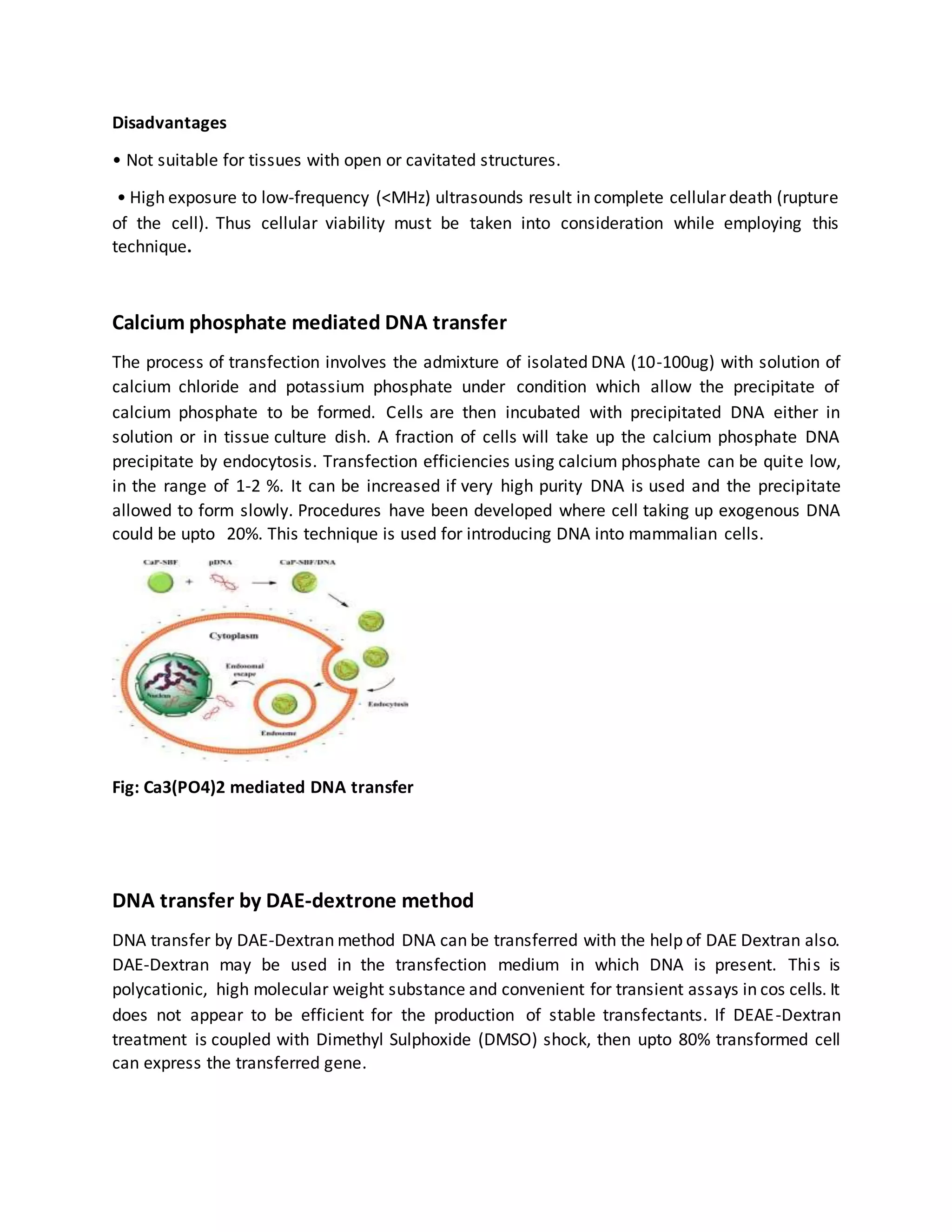 Dna transfer techniques | DOCX