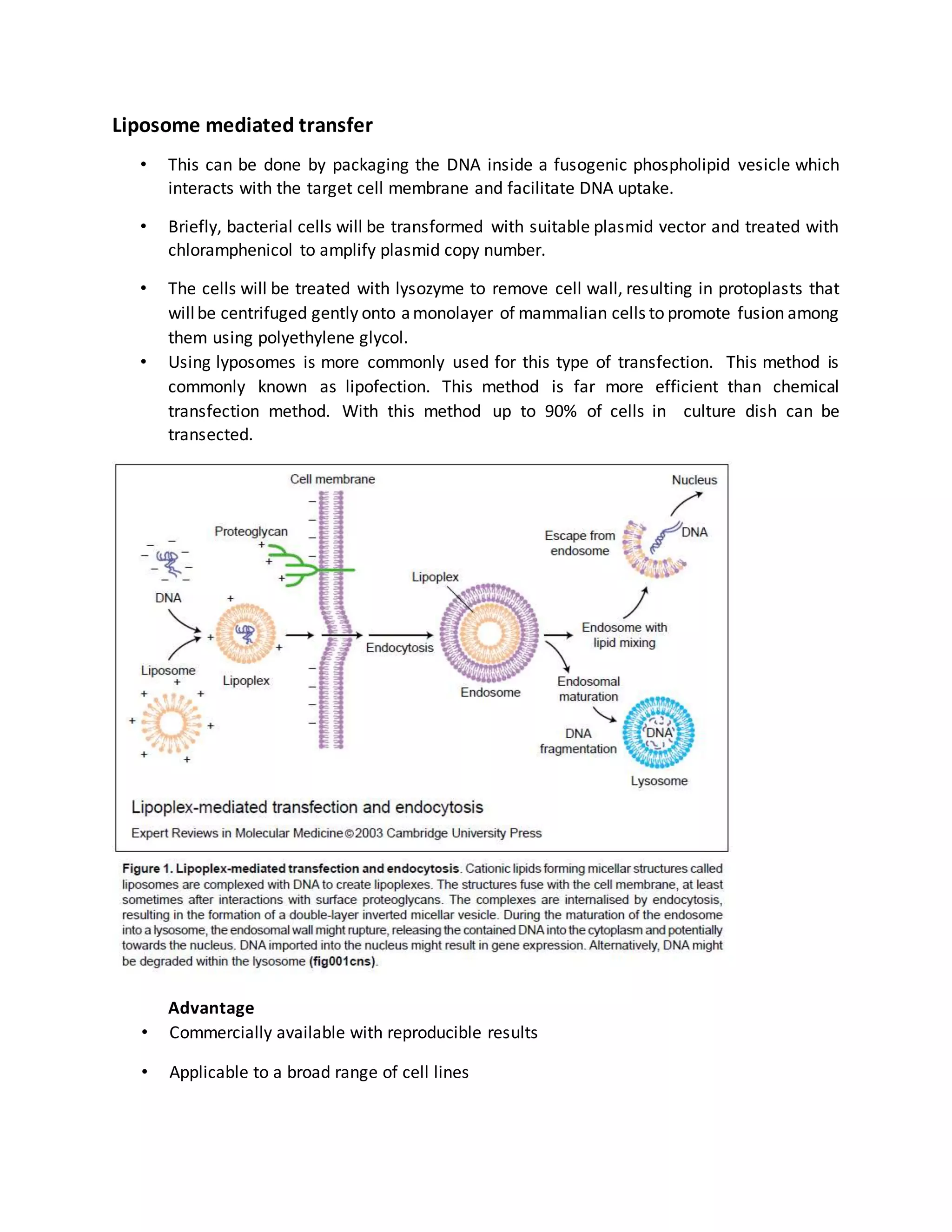Dna transfer techniques | DOCX