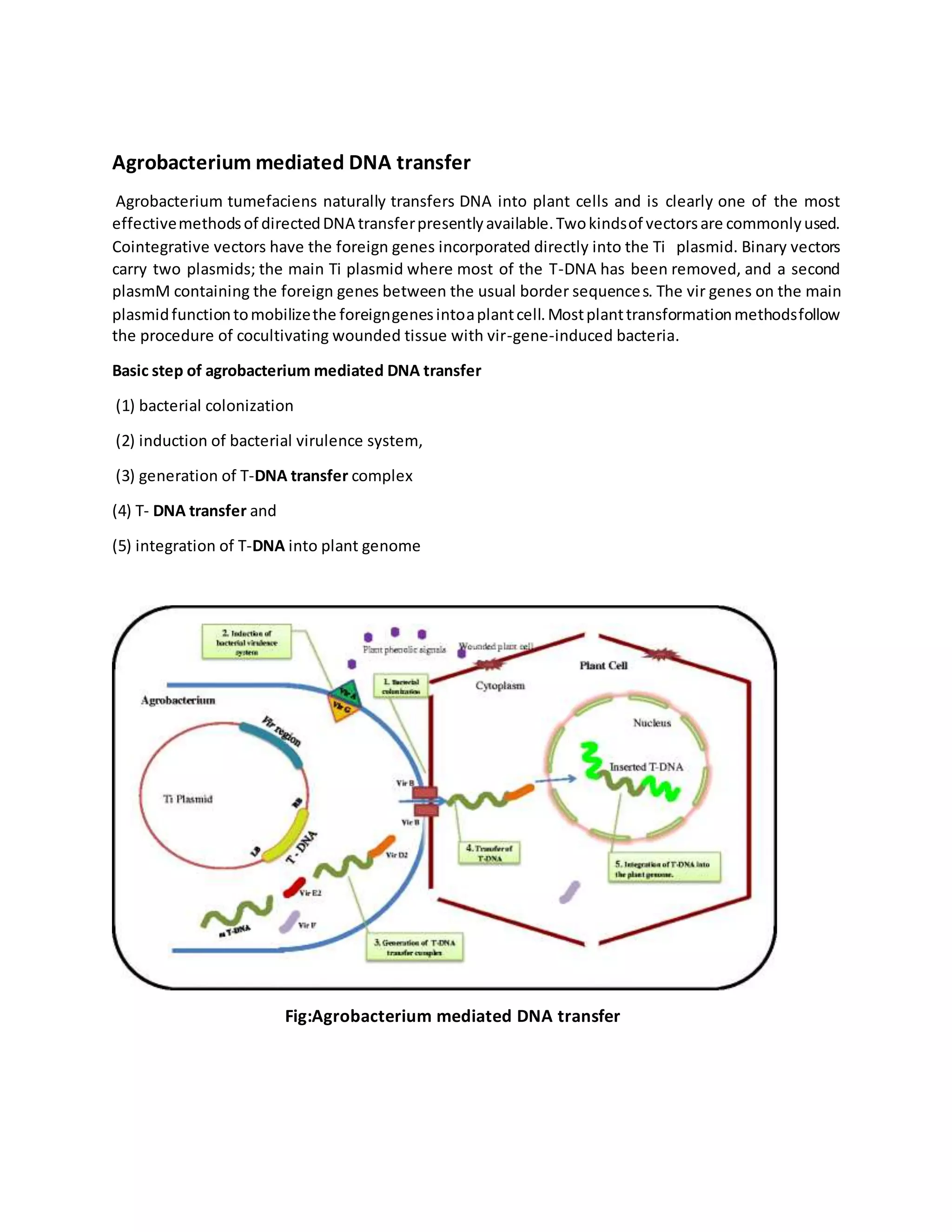 Dna transfer techniques | DOCX