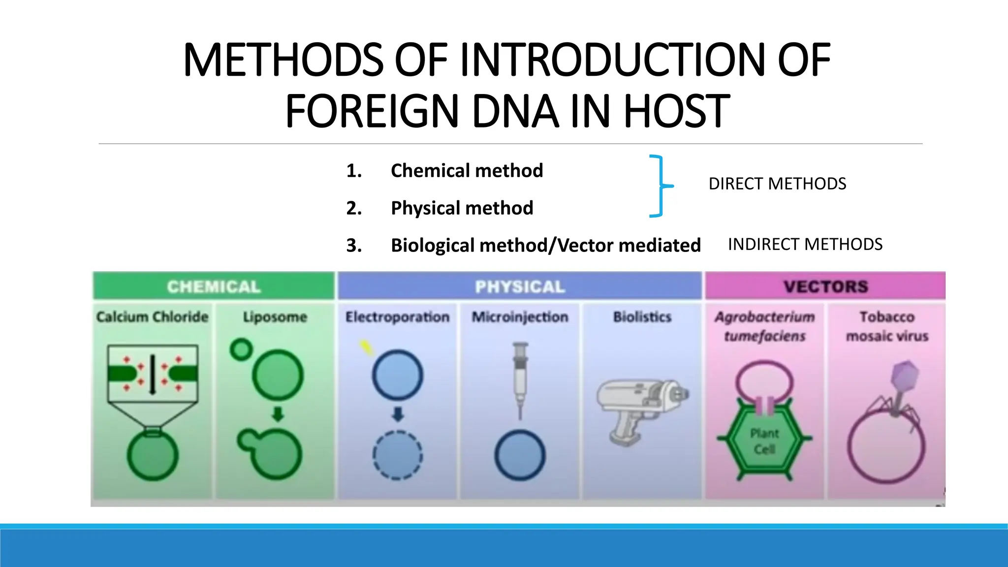 METHODS IN GENE TRANSFER TECHNIQUES | PDF
