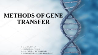 METHODS IN GENE TRANSFER TECHNIQUES | PDF