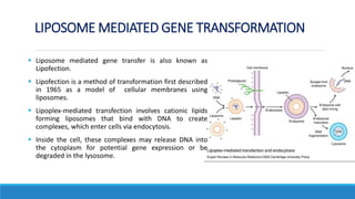METHODS IN GENE TRANSFER TECHNIQUES | PDF