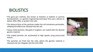 METHODS IN GENE TRANSFER TECHNIQUES | PDF