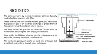 METHODS IN GENE TRANSFER TECHNIQUES | PDF