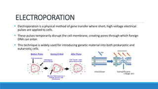 METHODS IN GENE TRANSFER TECHNIQUES | PDF