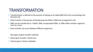 METHODS IN GENE TRANSFER TECHNIQUES | PDF