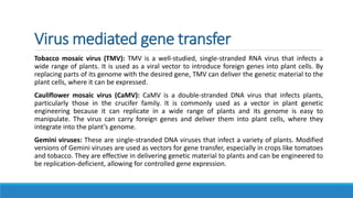 METHODS IN GENE TRANSFER TECHNIQUES | PDF