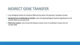 METHODS IN GENE TRANSFER TECHNIQUES | PDF