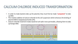 METHODS IN GENE TRANSFER TECHNIQUES | PDF