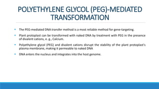 METHODS IN GENE TRANSFER TECHNIQUES | PDF