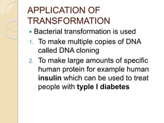 DNA TRANSFORMATION.pptx