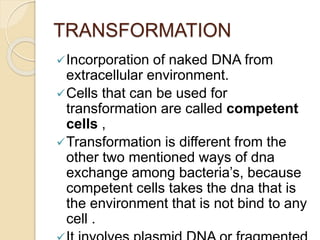 DNA TRANSFORMATION.pptx