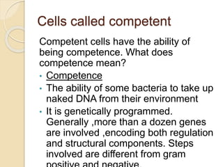 DNA TRANSFORMATION.pptx