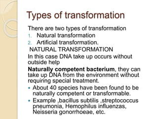 DNA TRANSFORMATION.pptx