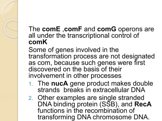DNA TRANSFORMATION.pptx