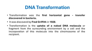 Microbiology, DNA transformation in Bacteria. | PDF