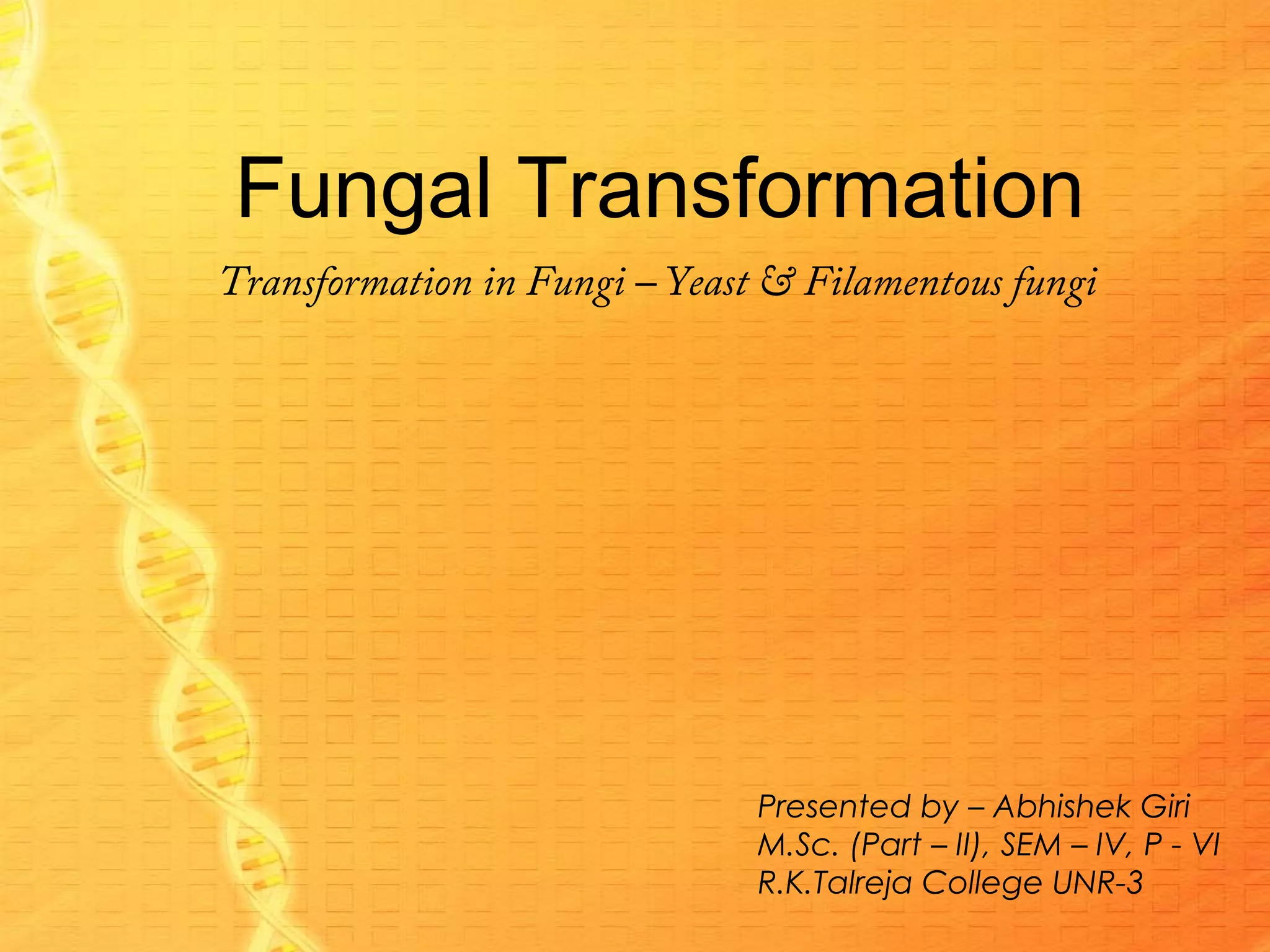 Fungal Transformation - dna transformation in fungi | PPT