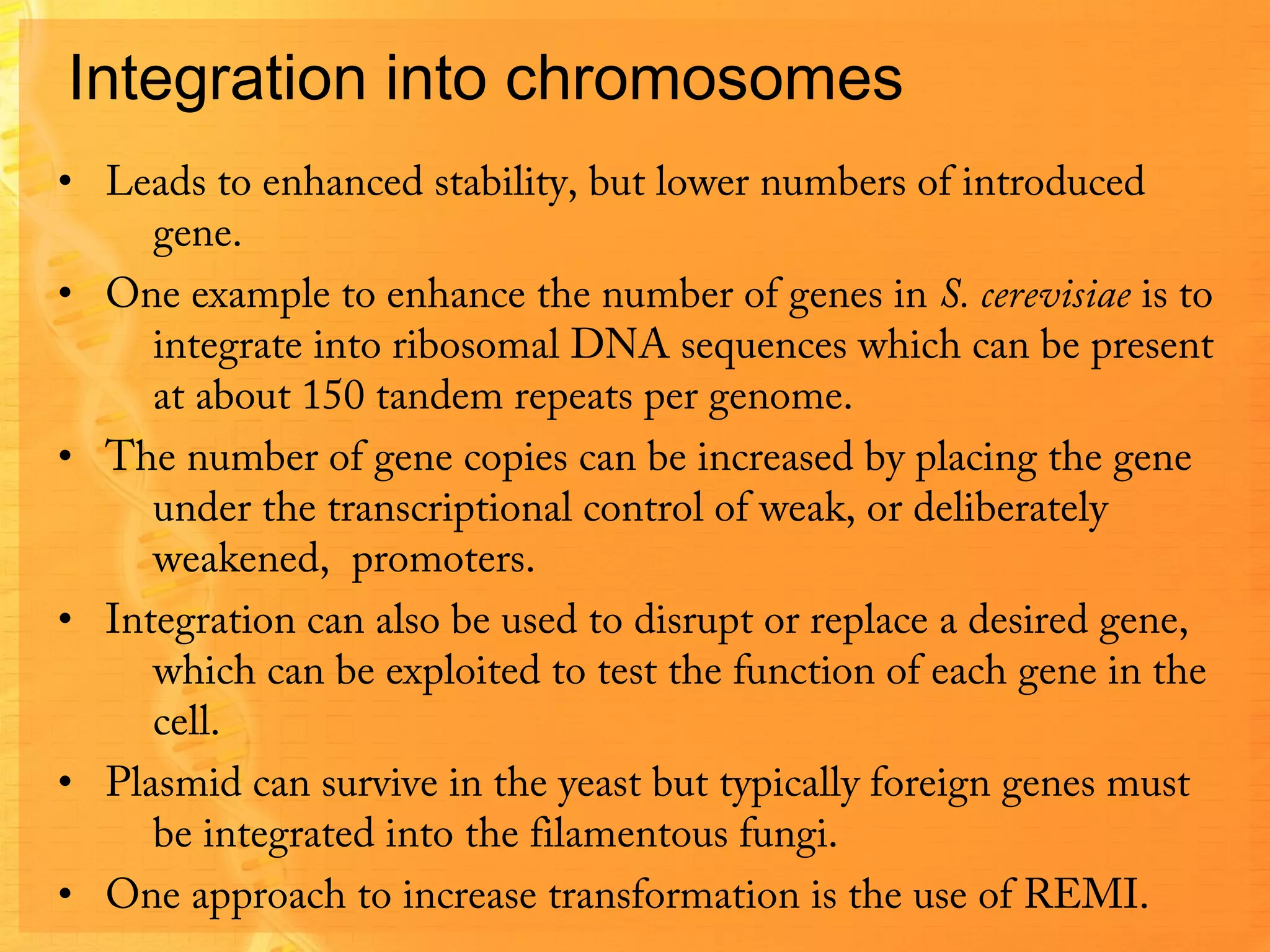 Fungal Transformation - dna transformation in fungi | PPT