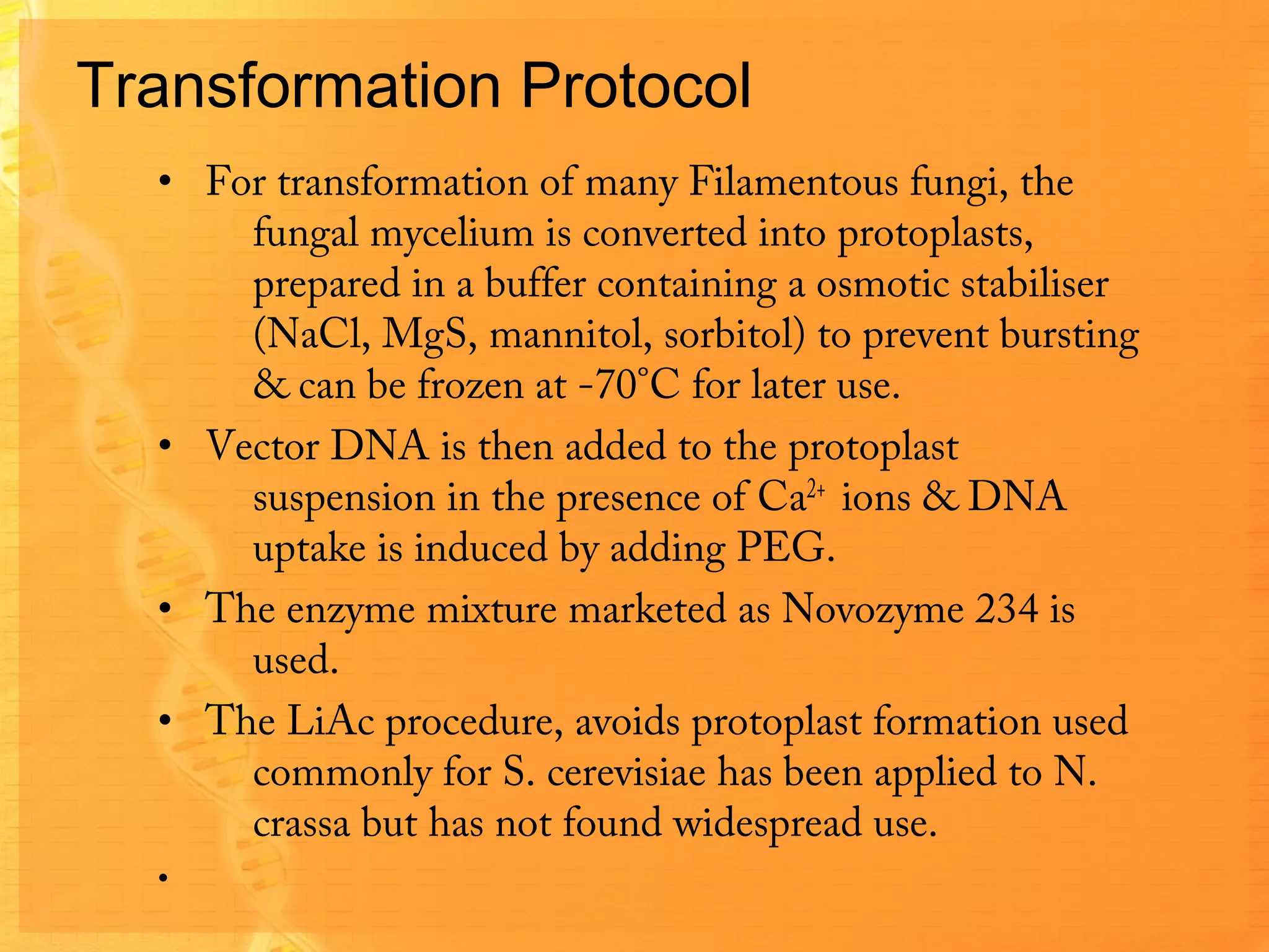 Fungal Transformation - dna transformation in fungi | PPT
