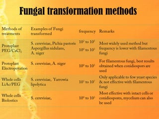 Fungal Transformation - dna transformation in fungi | ODP