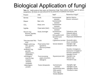 Fungal Transformation - dna transformation in fungi | ODP