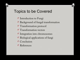 Fungal Transformation - dna transformation in fungi | ODP