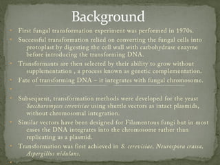 Fungal Transformation - dna transformation in fungi | ODP
