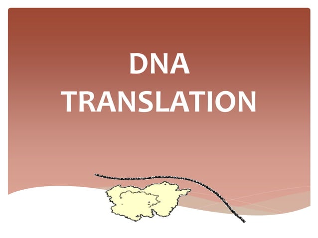 Dna translation | PPTX