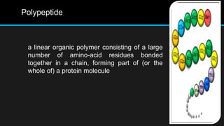 Dna translation and transcription | PPTX