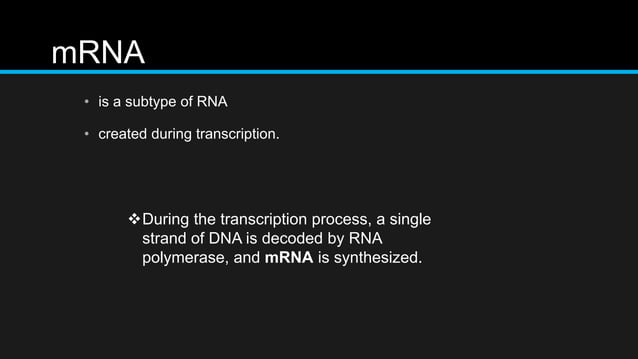 Dna translation and transcription | PPTX | Chemistry | Science