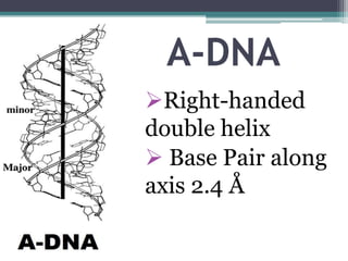 DNA Types | PPTX