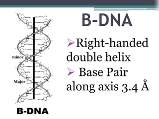 DNA Types | PPTX