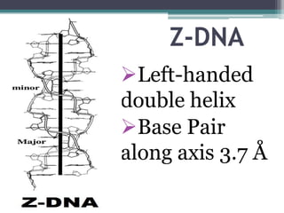DNA Types | PPTX