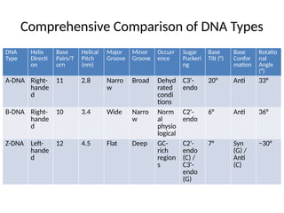DNA_Types_Full_Comparison 11111111.pptx