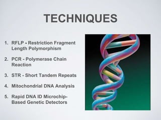 DNA Typing.pptx