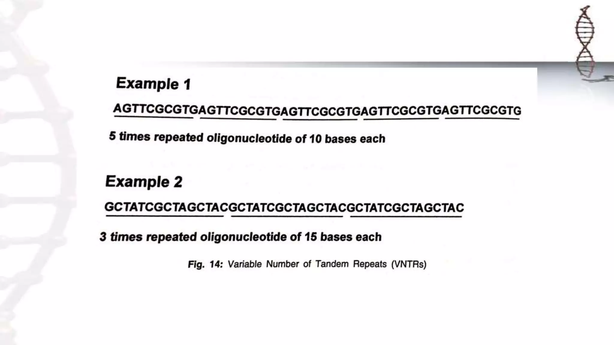 DNA Typing - Unit 1.pptx
