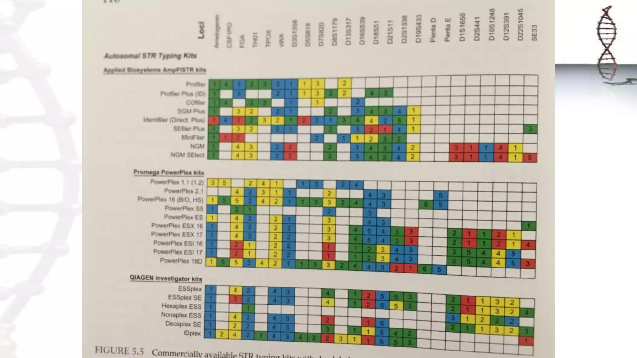 DNA Typing - Unit 1.pptx