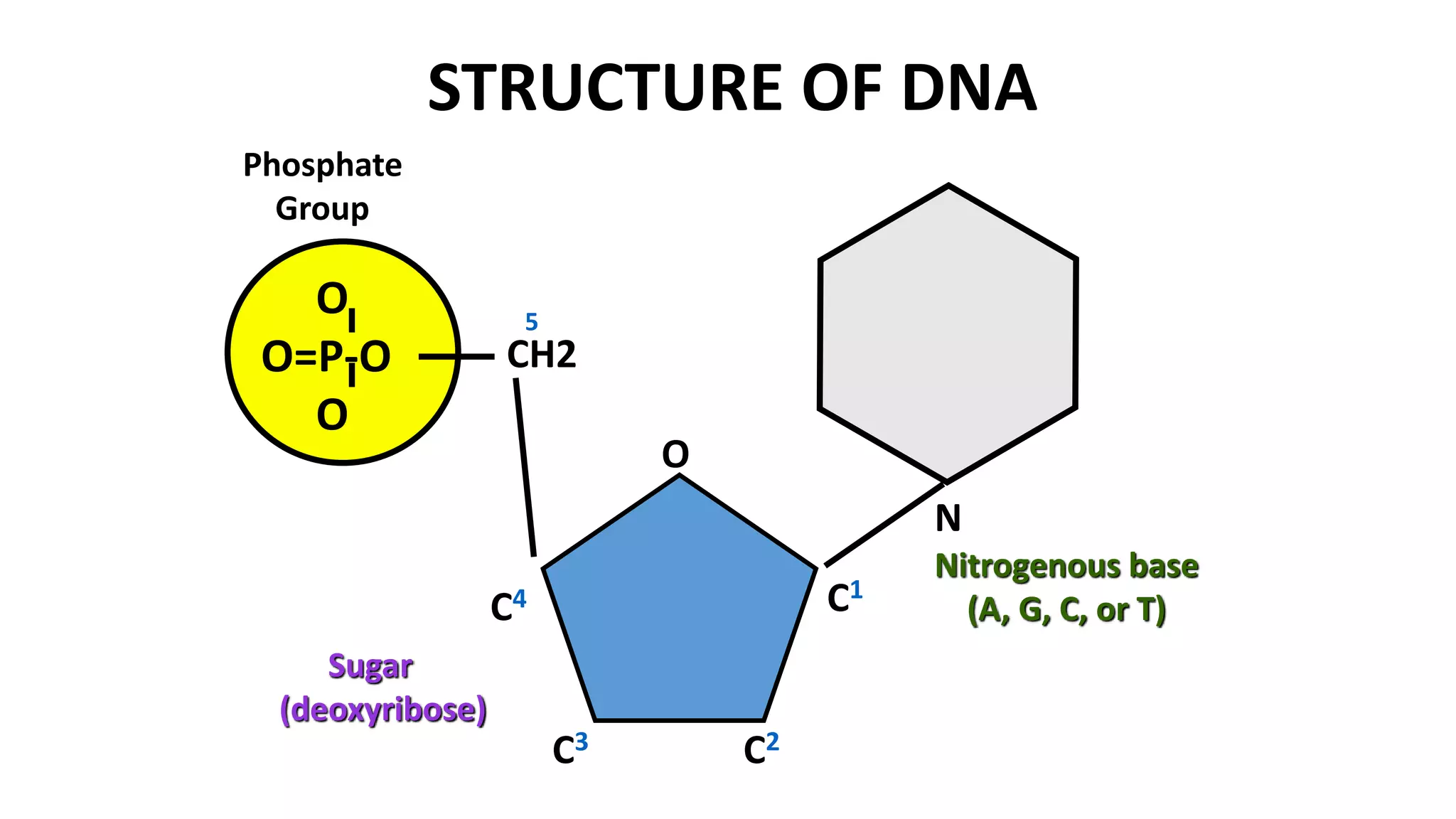 DNA Typing - Unit 1.pptx