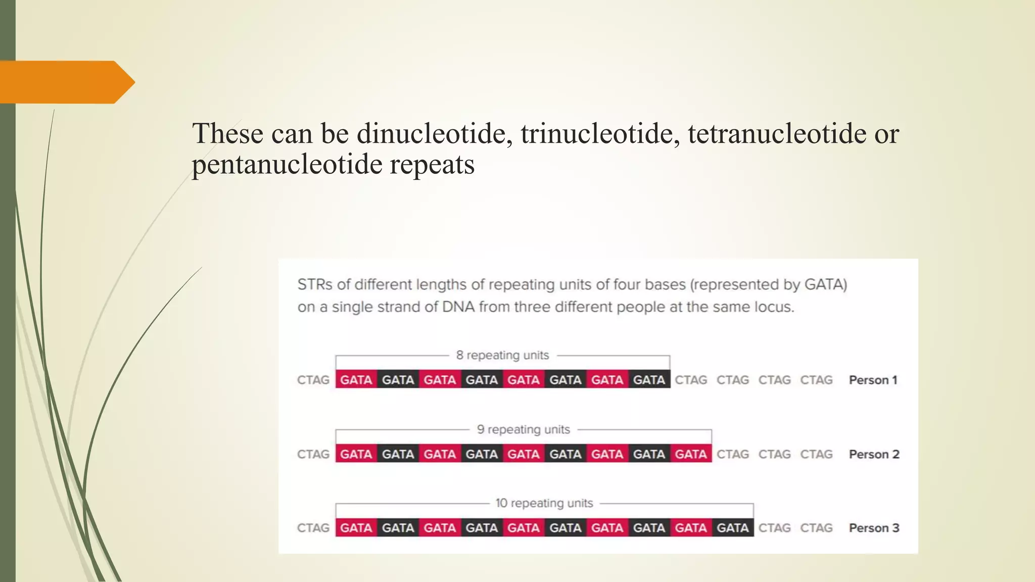Dna typing methods | PPTX